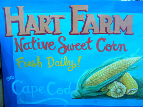 Hart Farm Nursery & Garden Center | Dennis Port, Cape Cod