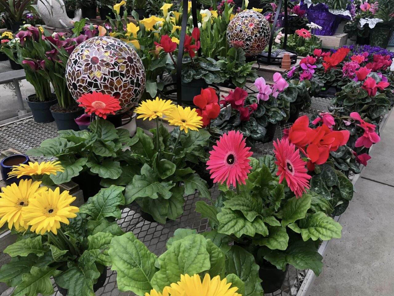 Hart Farm Nursery & Garden Center | Dennis Port, Cape Cod