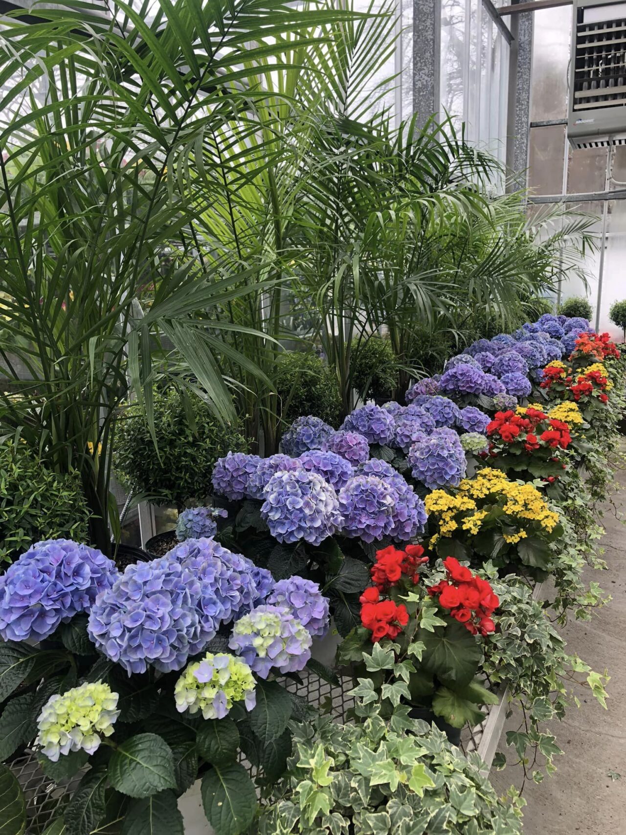 Hart Farm Nursery & Garden Center | Dennis Port, Cape Cod