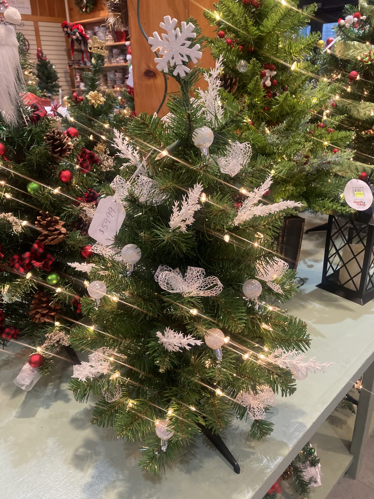 Hart Farm Nursery & Garden Center | Dennis Port, Cape Cod