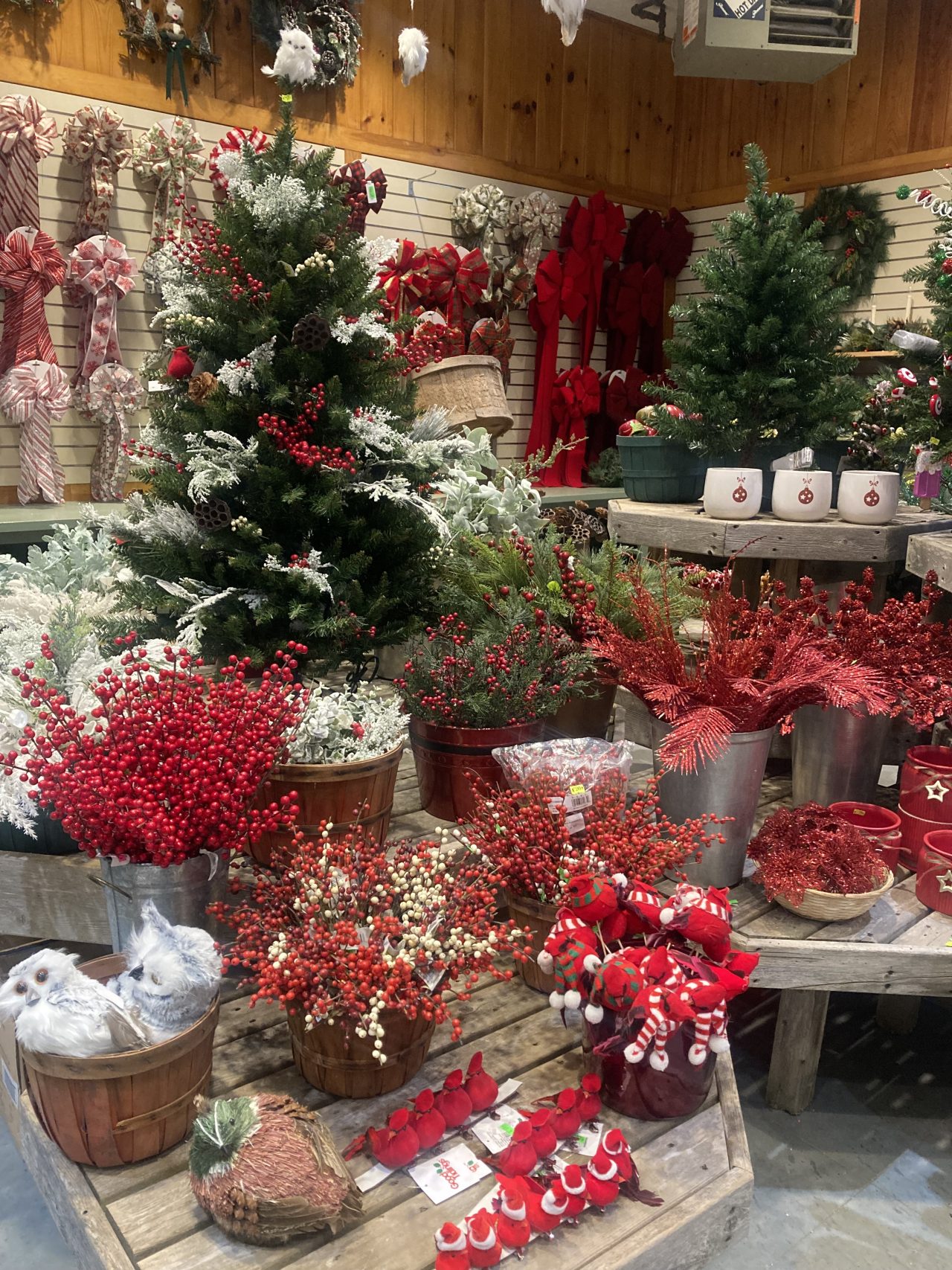 Hart Farm Nursery & Garden Center | Dennis Port, Cape Cod