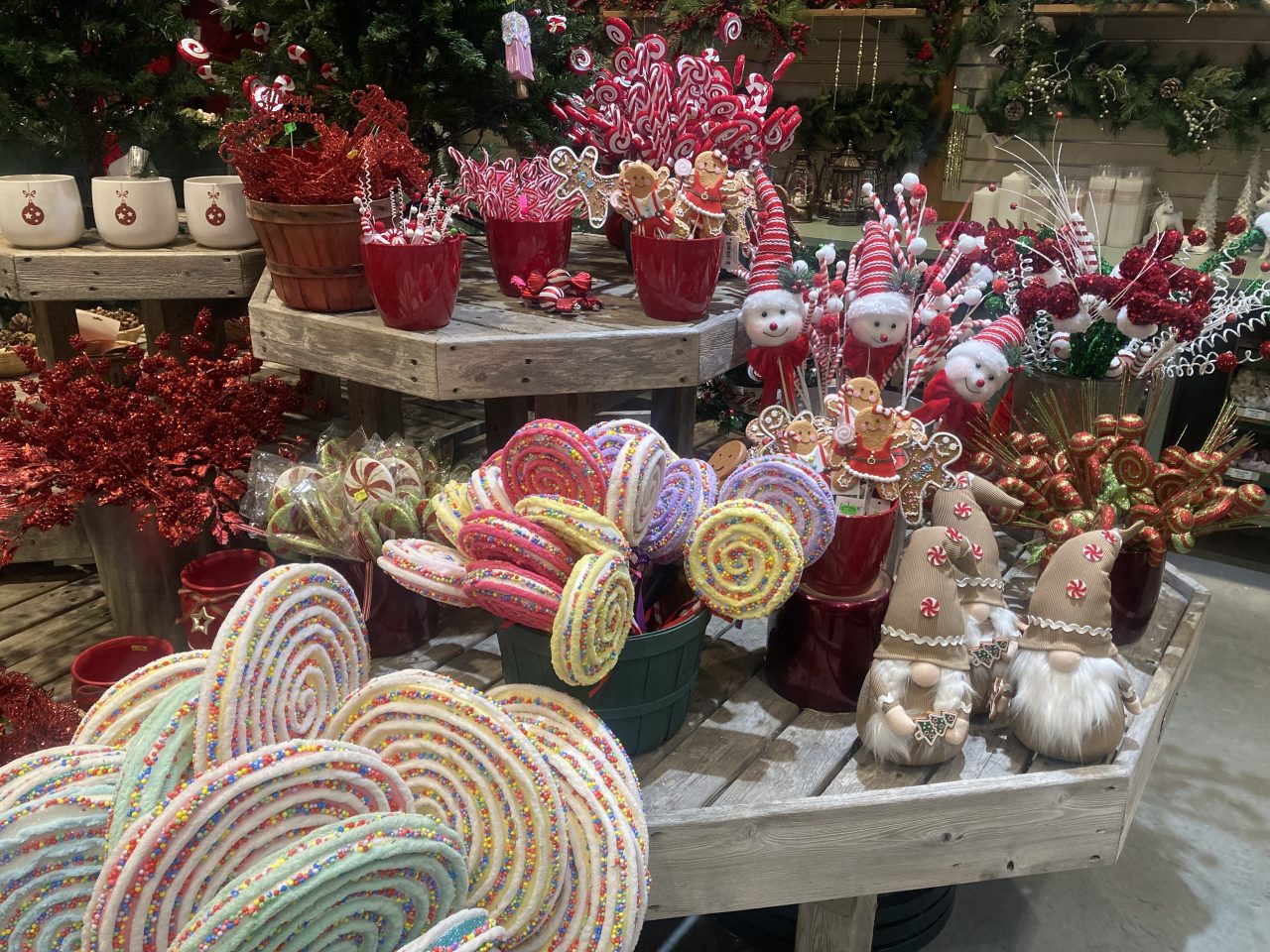 Hart Farm Nursery & Garden Center | Dennis Port, Cape Cod