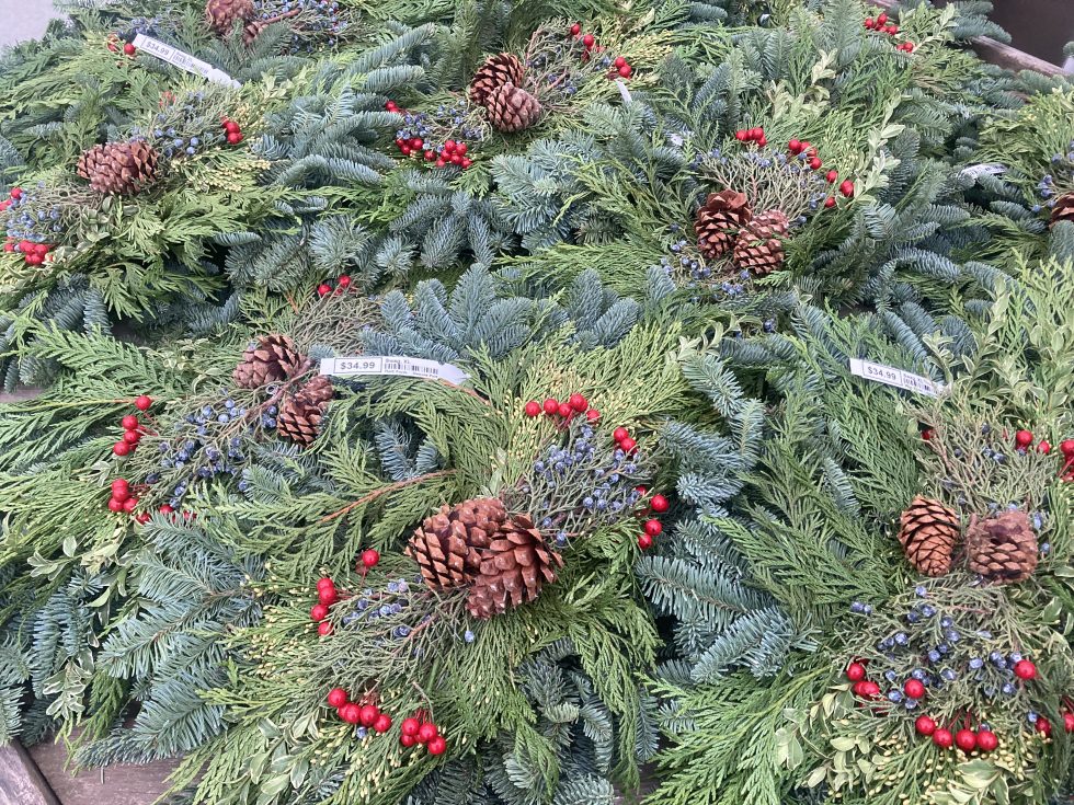 Hart Farm Nursery & Garden Center | Dennis Port, Cape Cod