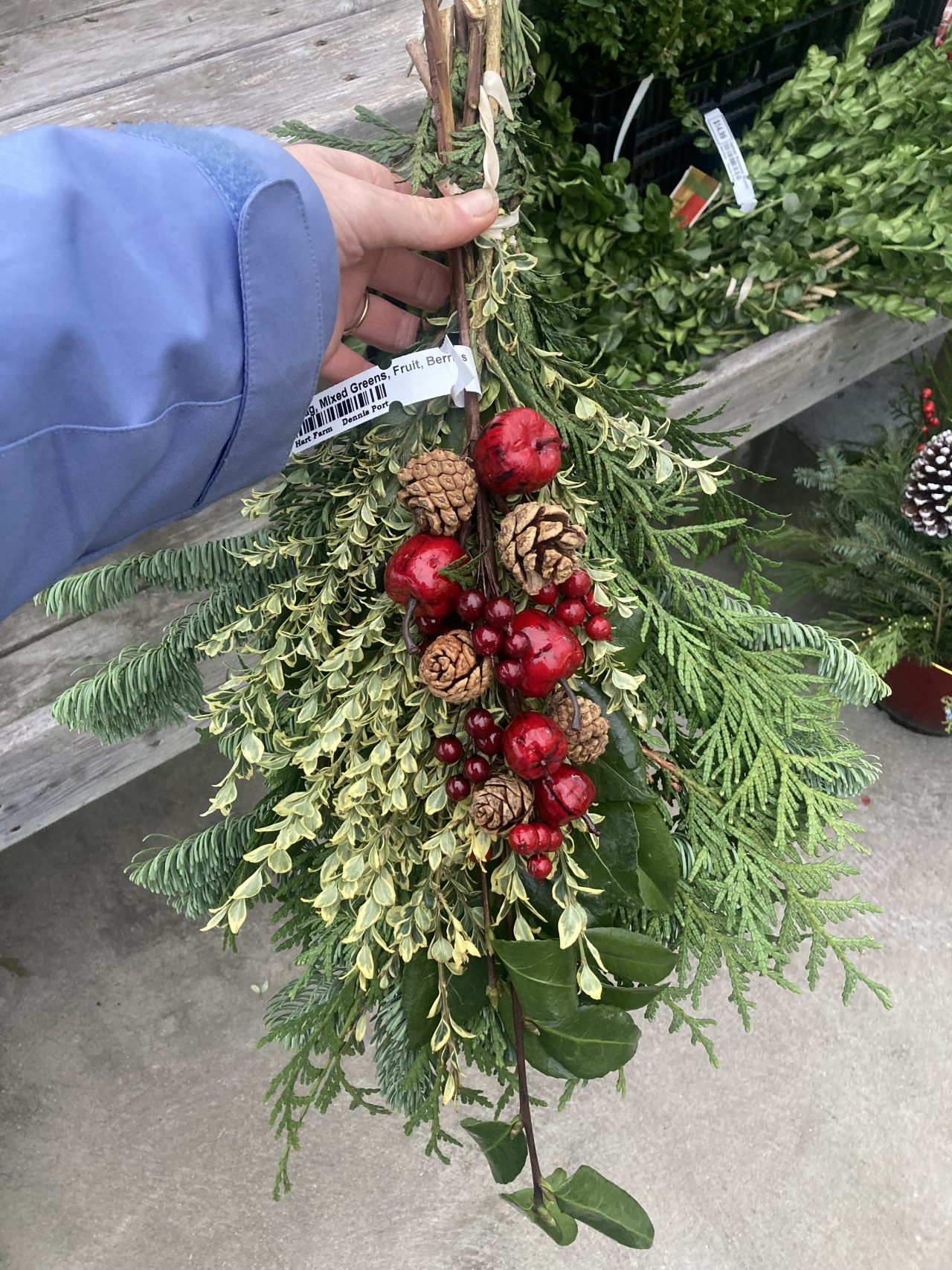 Hart Farm Nursery & Garden Center | Dennis Port, Cape Cod